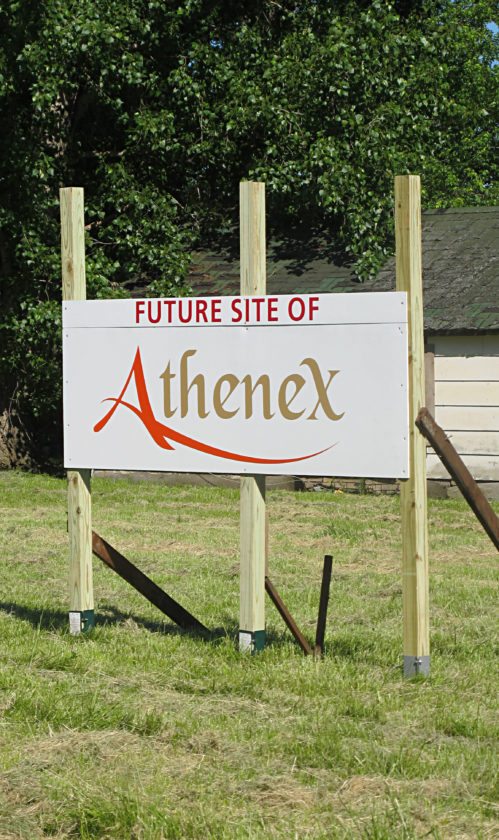 Athenex trudging along | News, Sports, Jobs - Observer Today